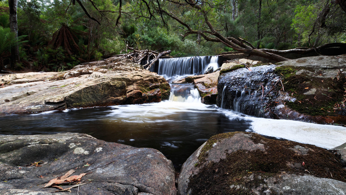 Halls Falls, Pyengana, Tasmania, Australia