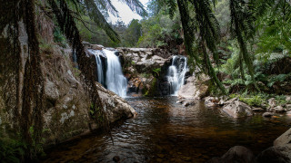 Halls Falls, Pyengana, Tasmania, Australia