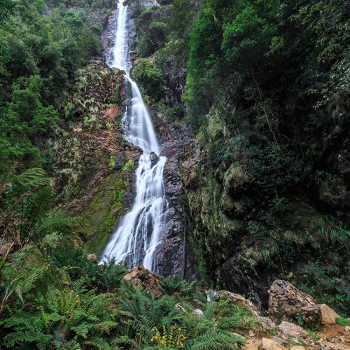 Myrtle Forest Falls - Waterfalls of Tasmania