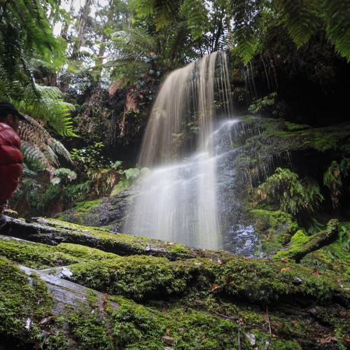 Ferntree Falls - Waterfalls of Tasmania