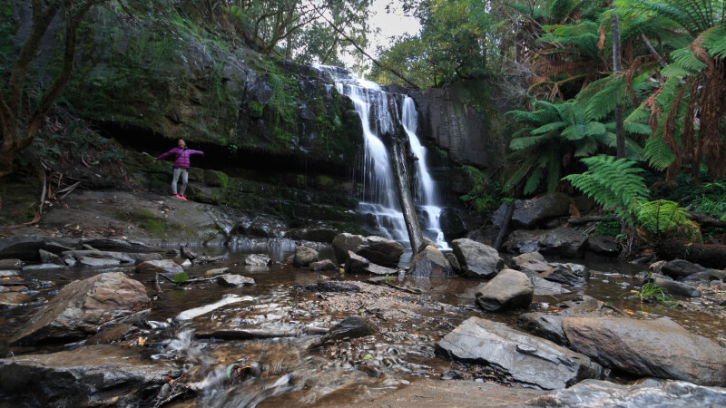 Lilydale Falls