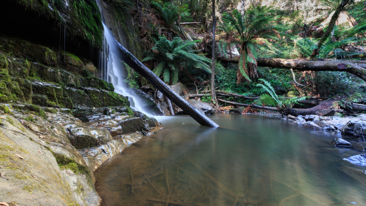 Lilydale Falls