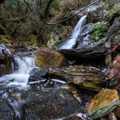 Creekton Falls - Waterfalls of Tasmania