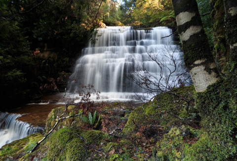 Ladder Falls