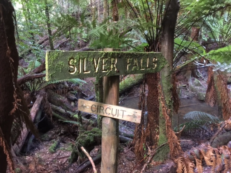 Silver Falls - Castra Circuit