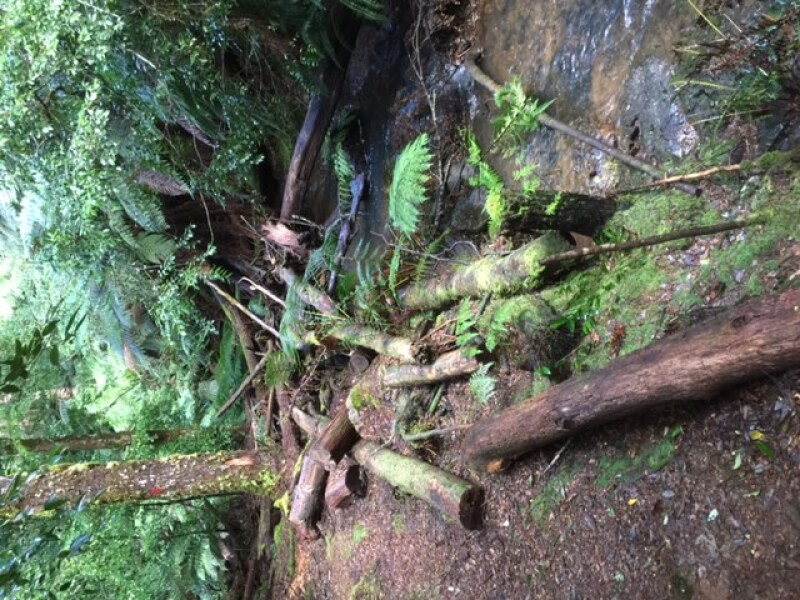 Silver Falls - Castra Circuit