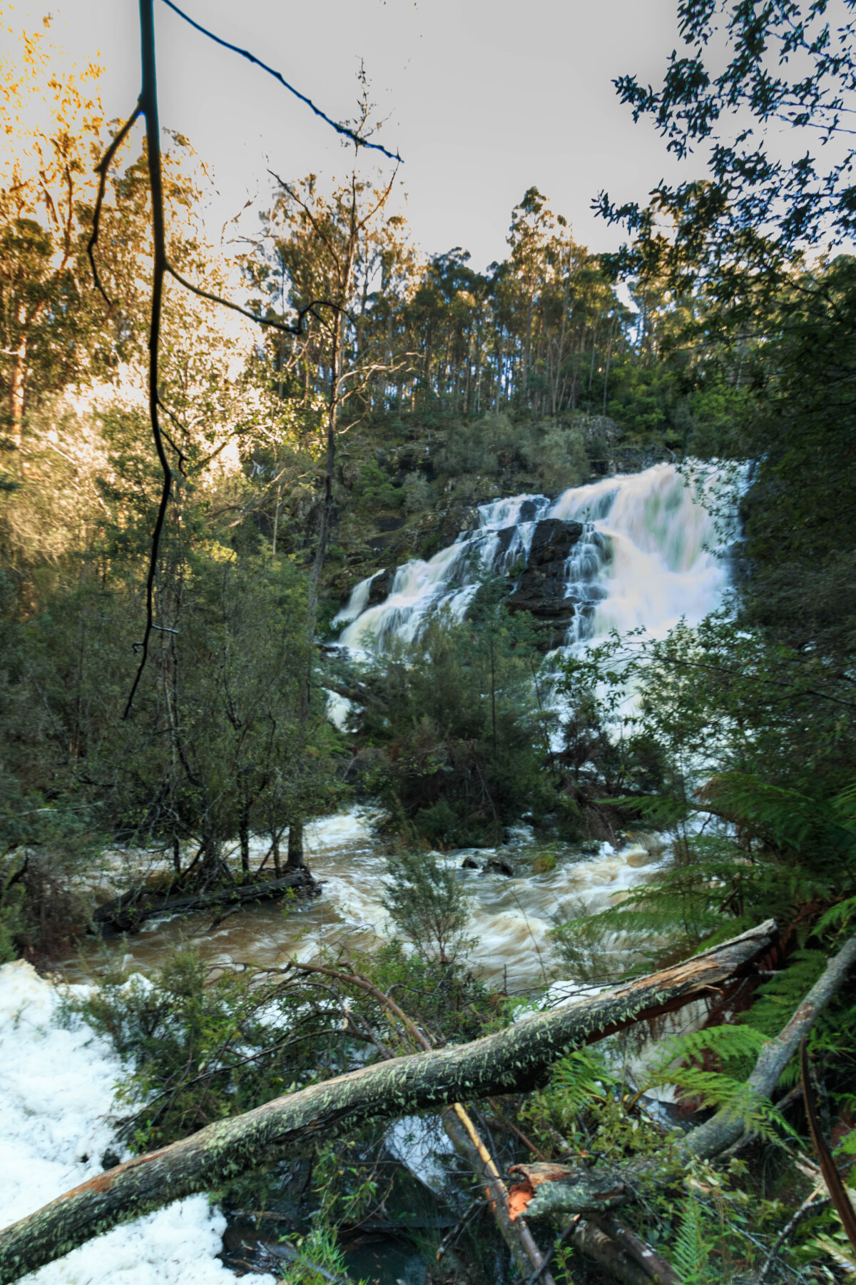 Victoria Valley Falls