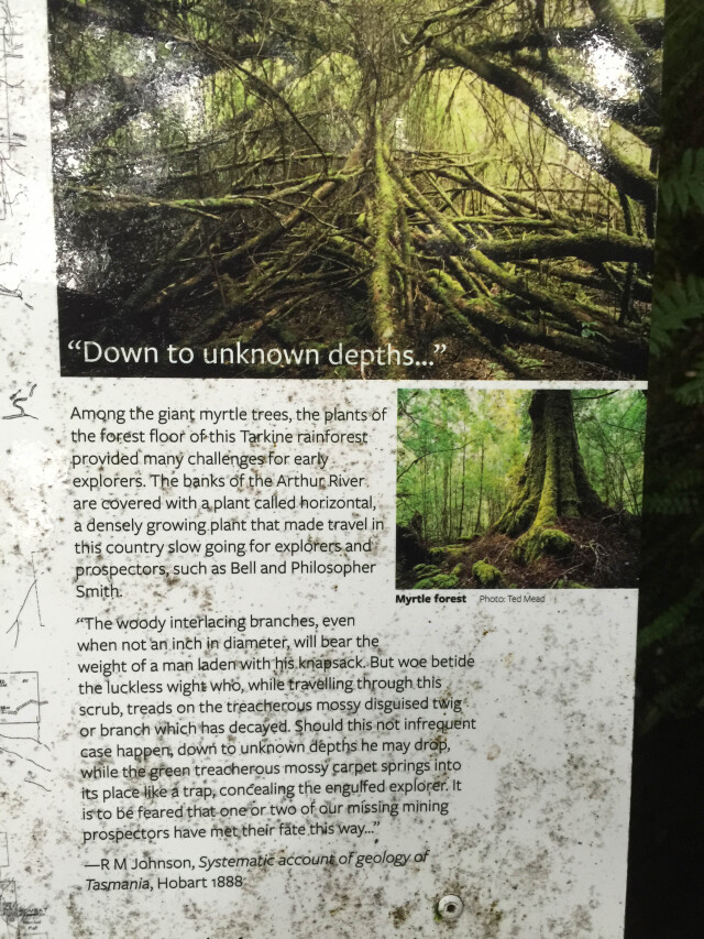 Philosopher Falls