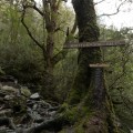 Winterbrook Falls - Waterfalls of Tasmania