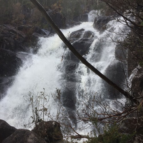 Myrtle Forest Falls - Waterfalls of Tasmania