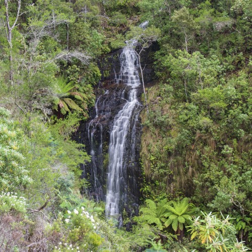 Guide Falls - Waterfalls of Tasmania