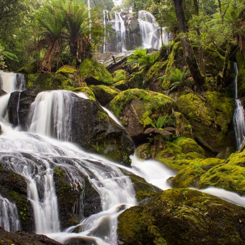 Halls Falls - Waterfalls of Tasmania