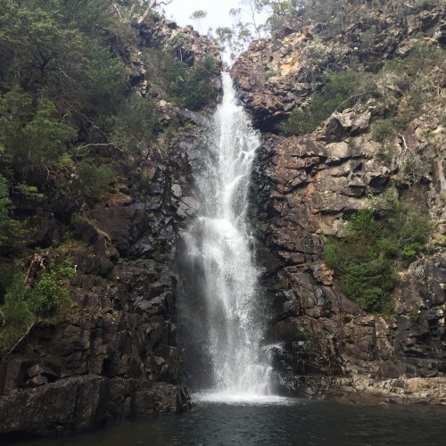 Richmond Falls - Waterfalls of Tasmania