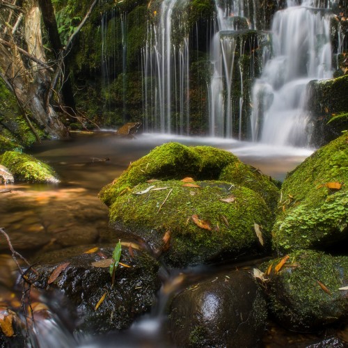 Myrtle Forest Falls - Waterfalls of Tasmania