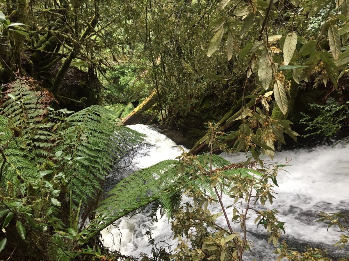 Julia Falls