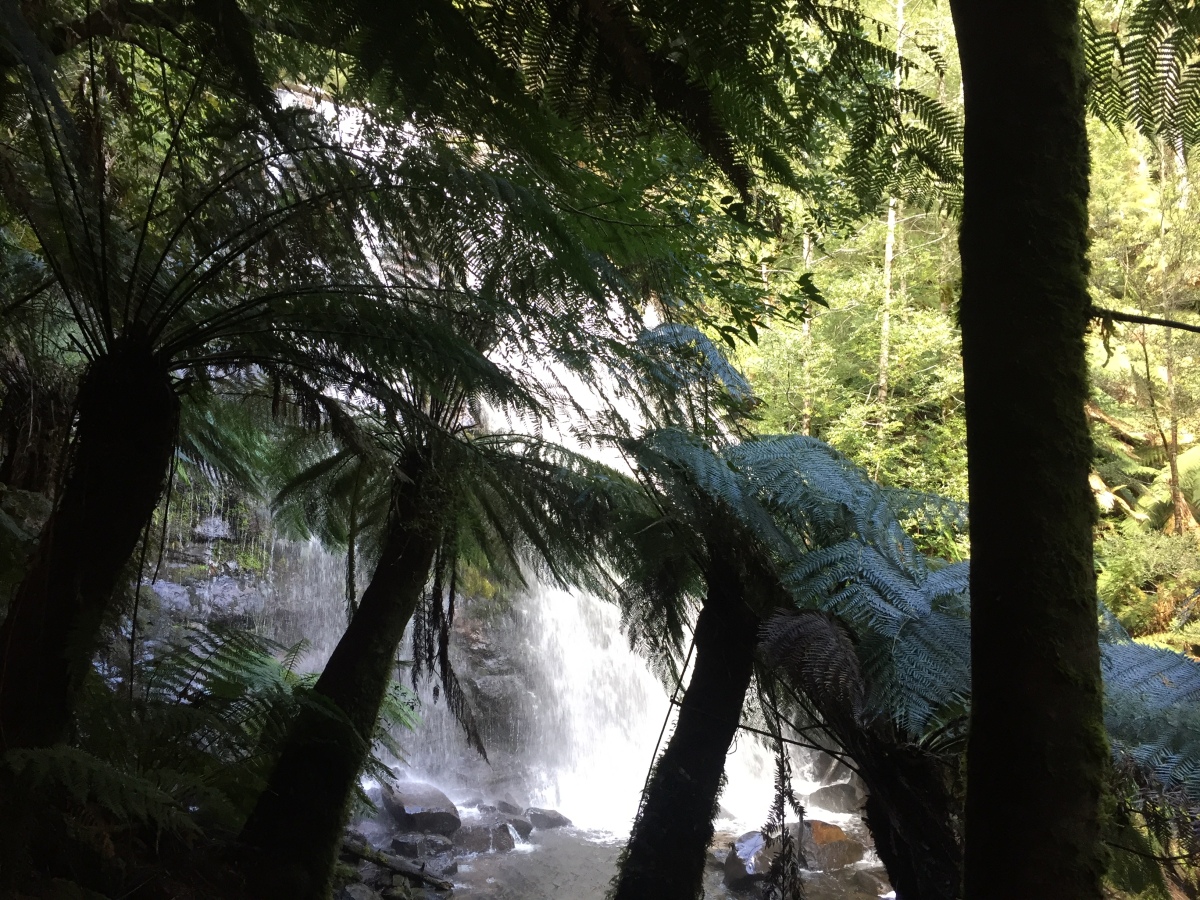 Julia Falls