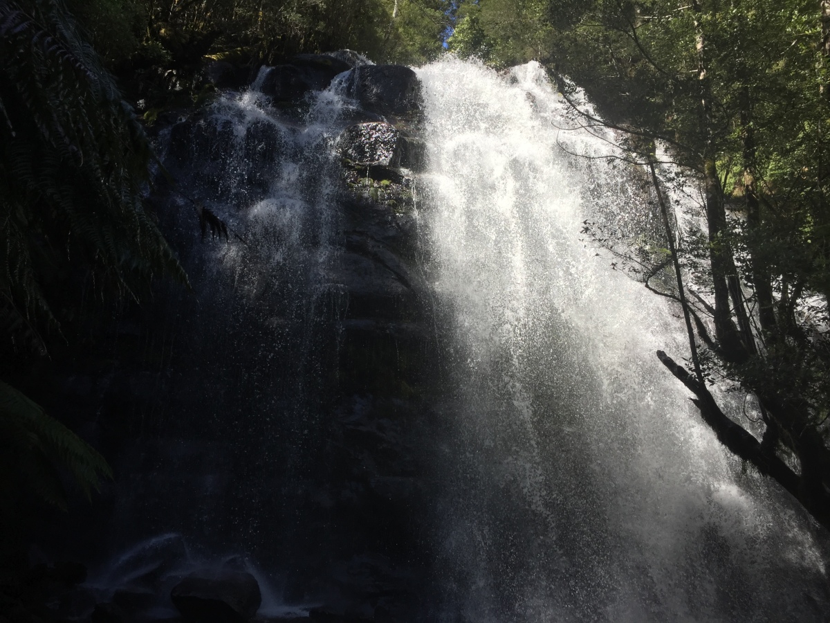 Julia Falls