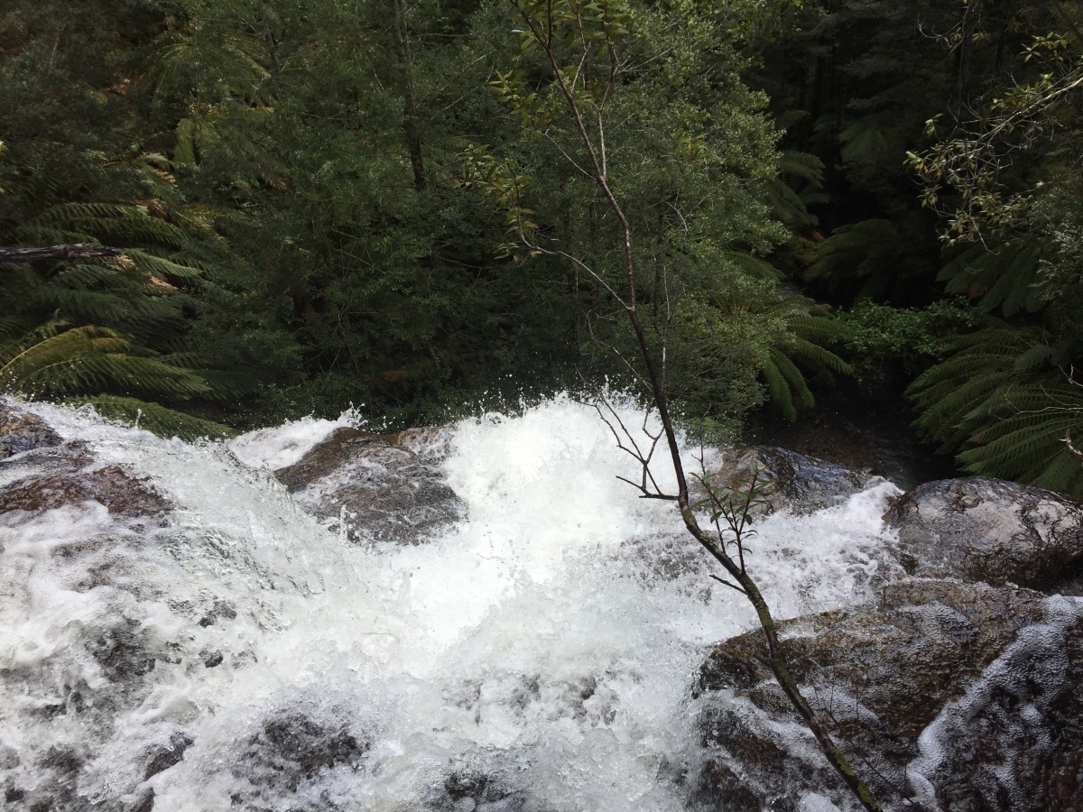 Julia Falls