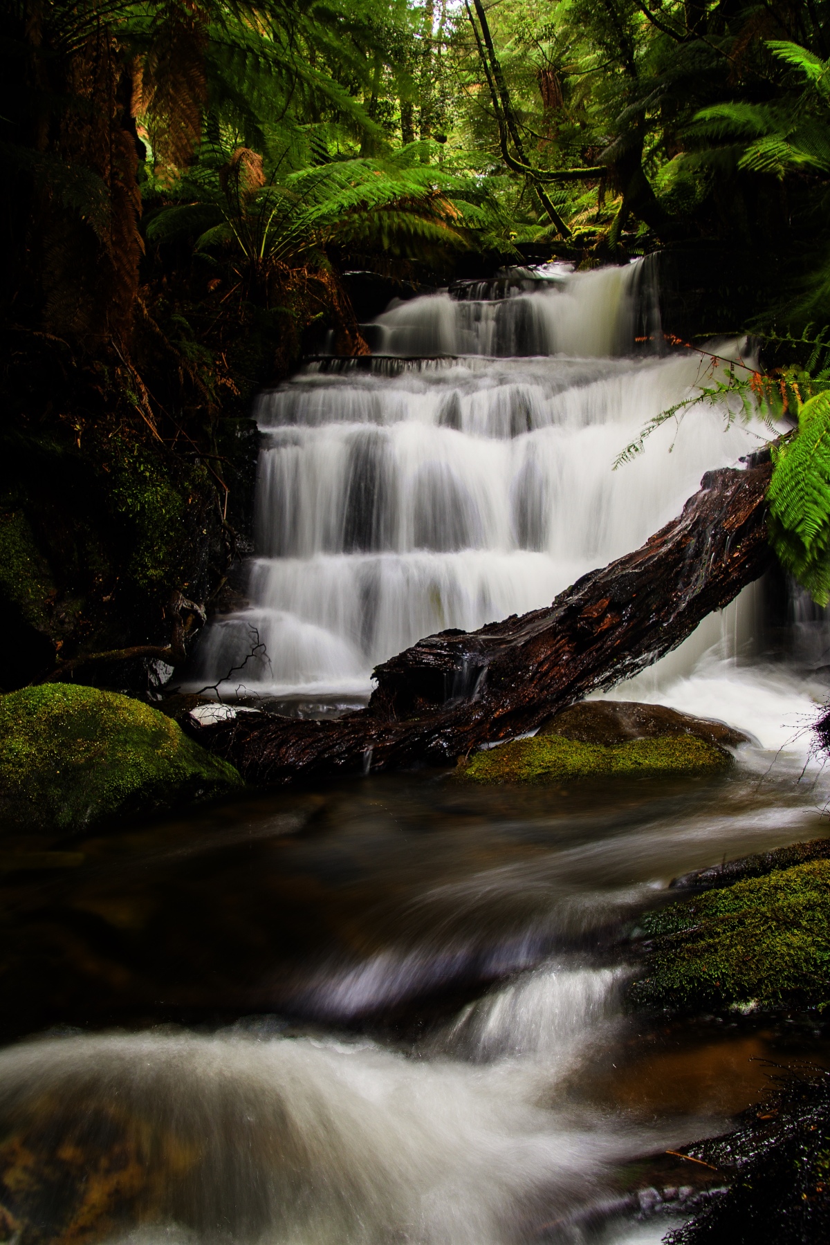 Julia Falls