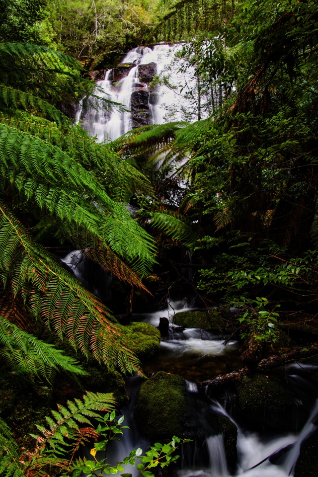 Julia Falls