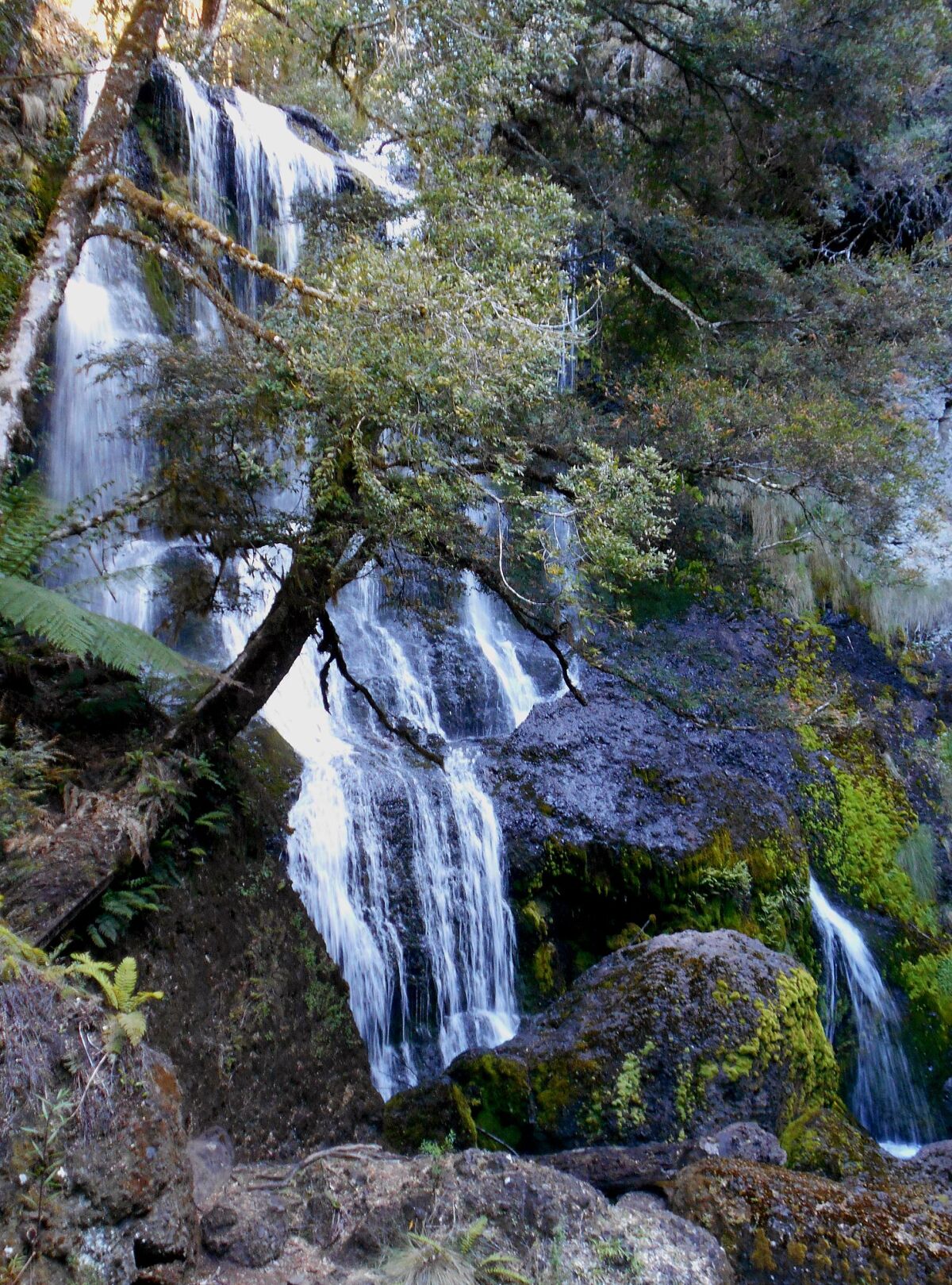 Waterfalls timeline for Peter Dohnt