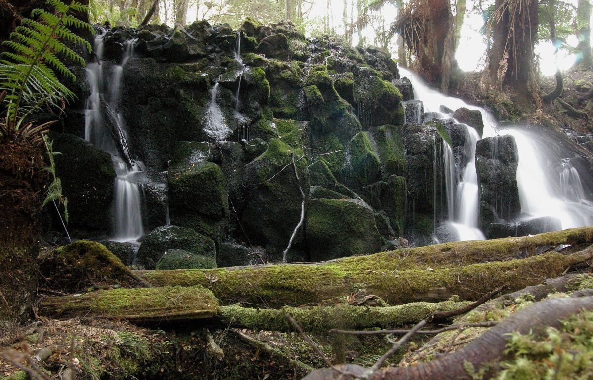 Waterfalls timeline for Peter Dohnt