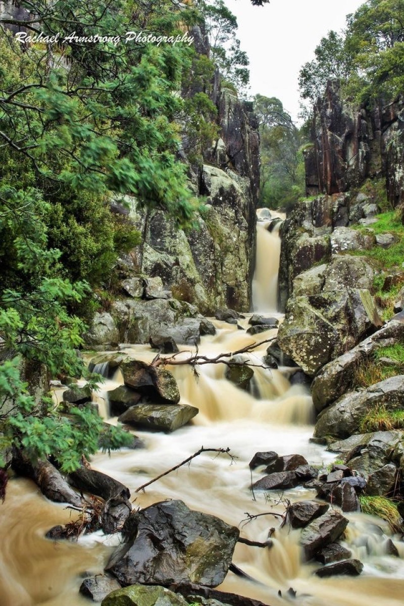 Waterfalls timeline for Rachael Armstrong
