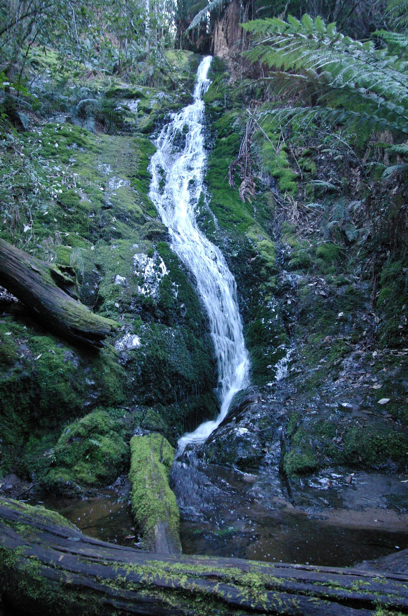 Waterfalls timeline for Peter Dohnt