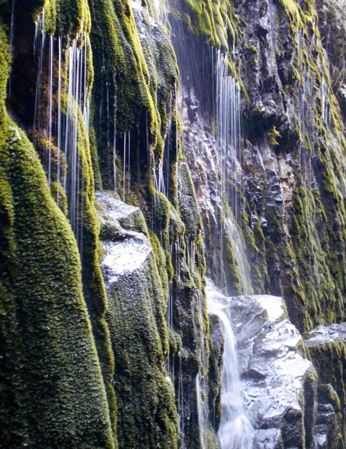 Waterfalls timeline for Peter Dohnt