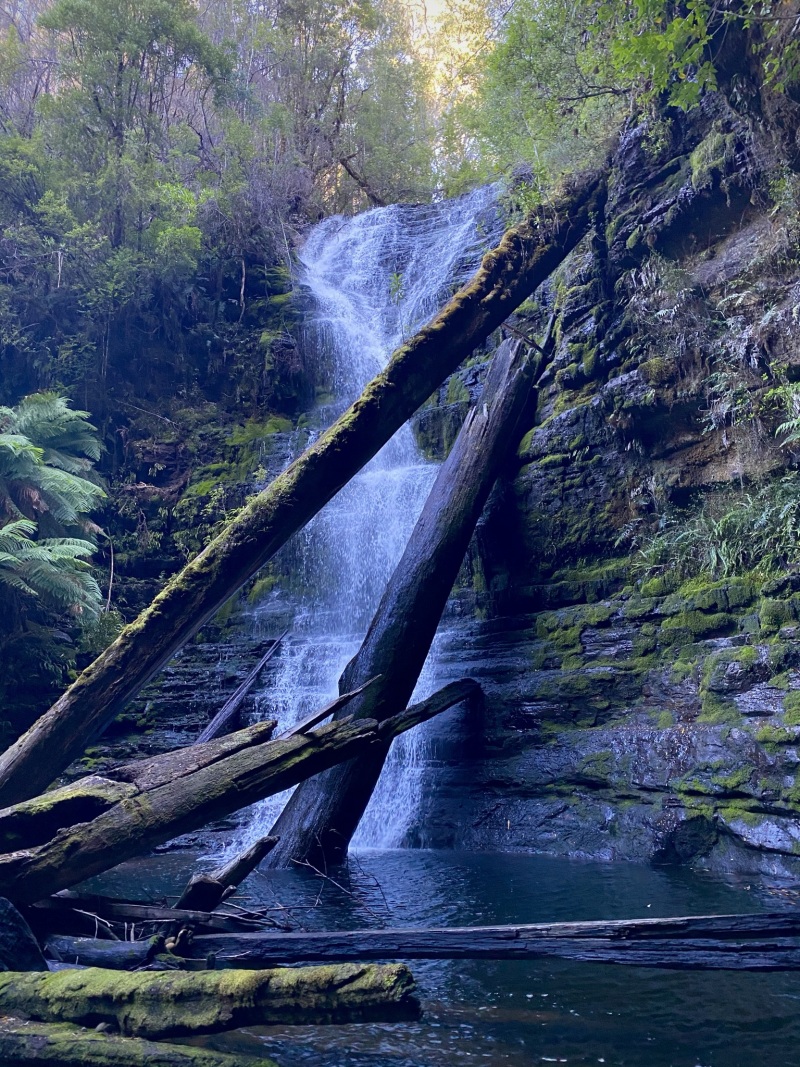 Waterfalls timeline for Narelle Walker