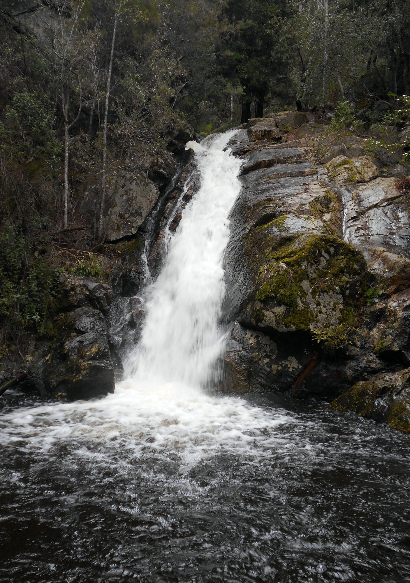 Waterfalls timeline for Peter Dohnt