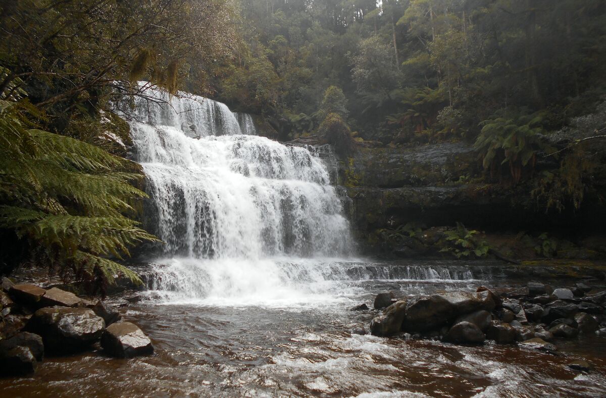 Waterfalls timeline for Peter Dohnt