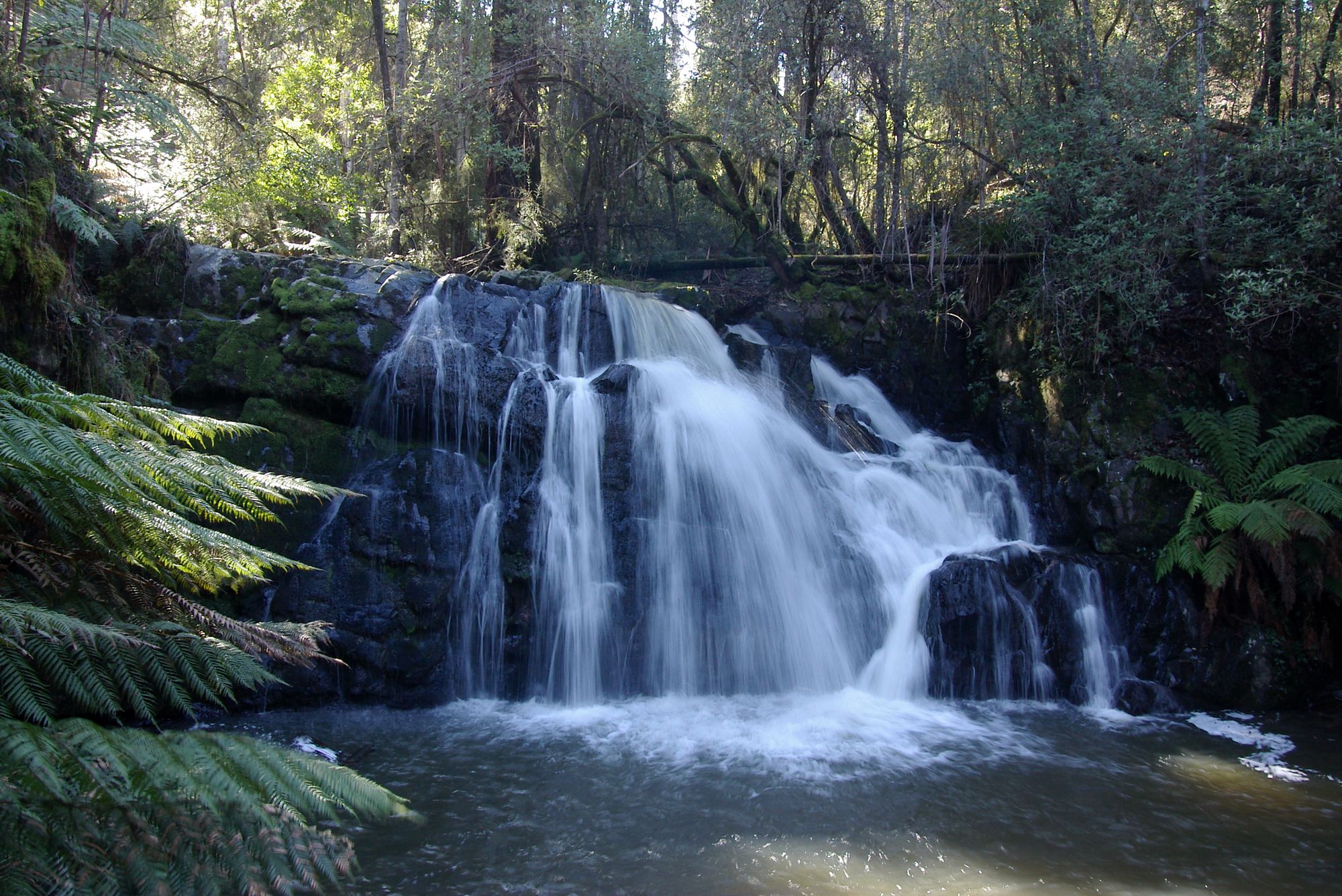 Waterfalls timeline for Peter Dohnt