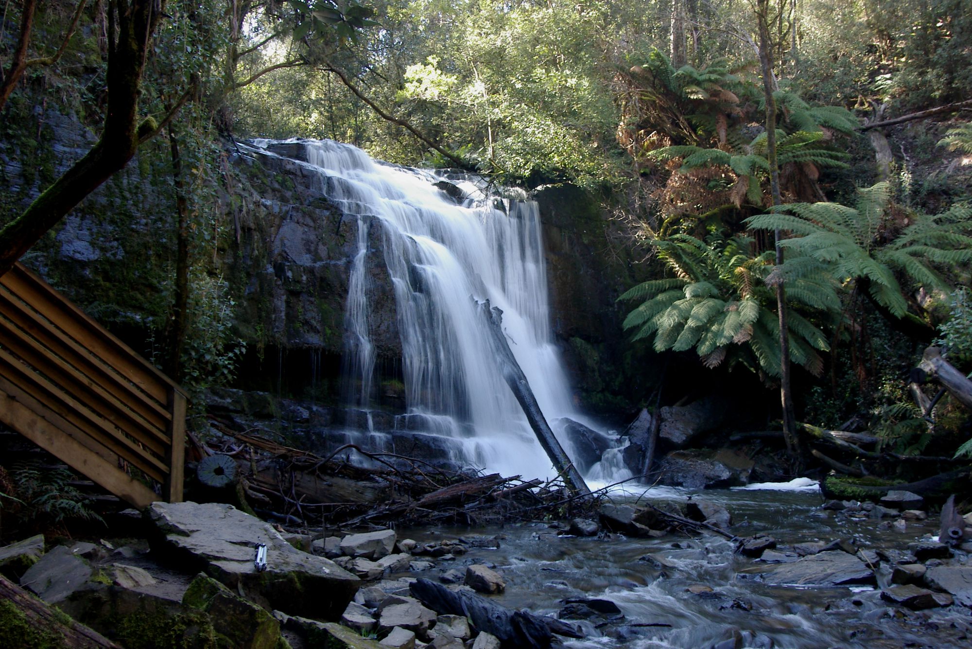 Waterfalls timeline for Peter Dohnt