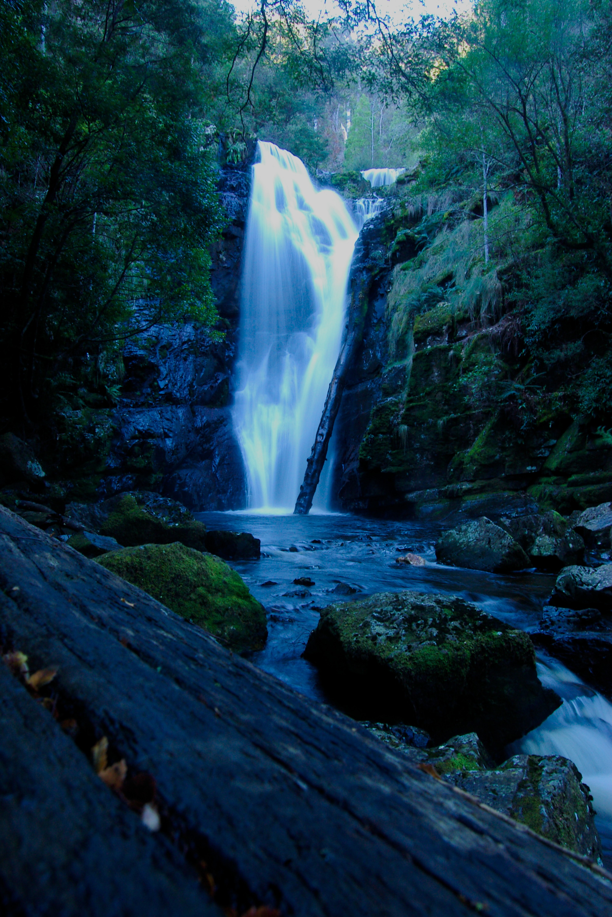 Waterfalls timeline for Peter Dohnt