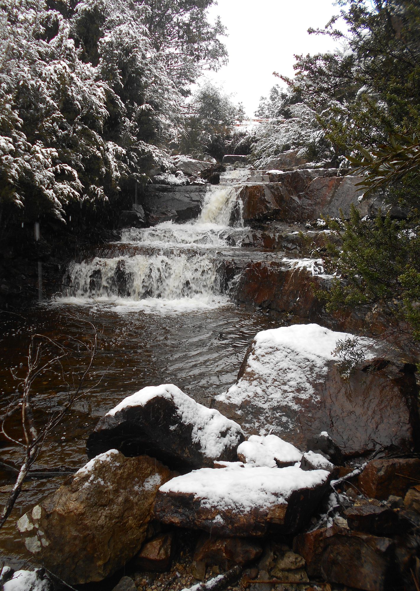 Waterfalls timeline for Peter Dohnt