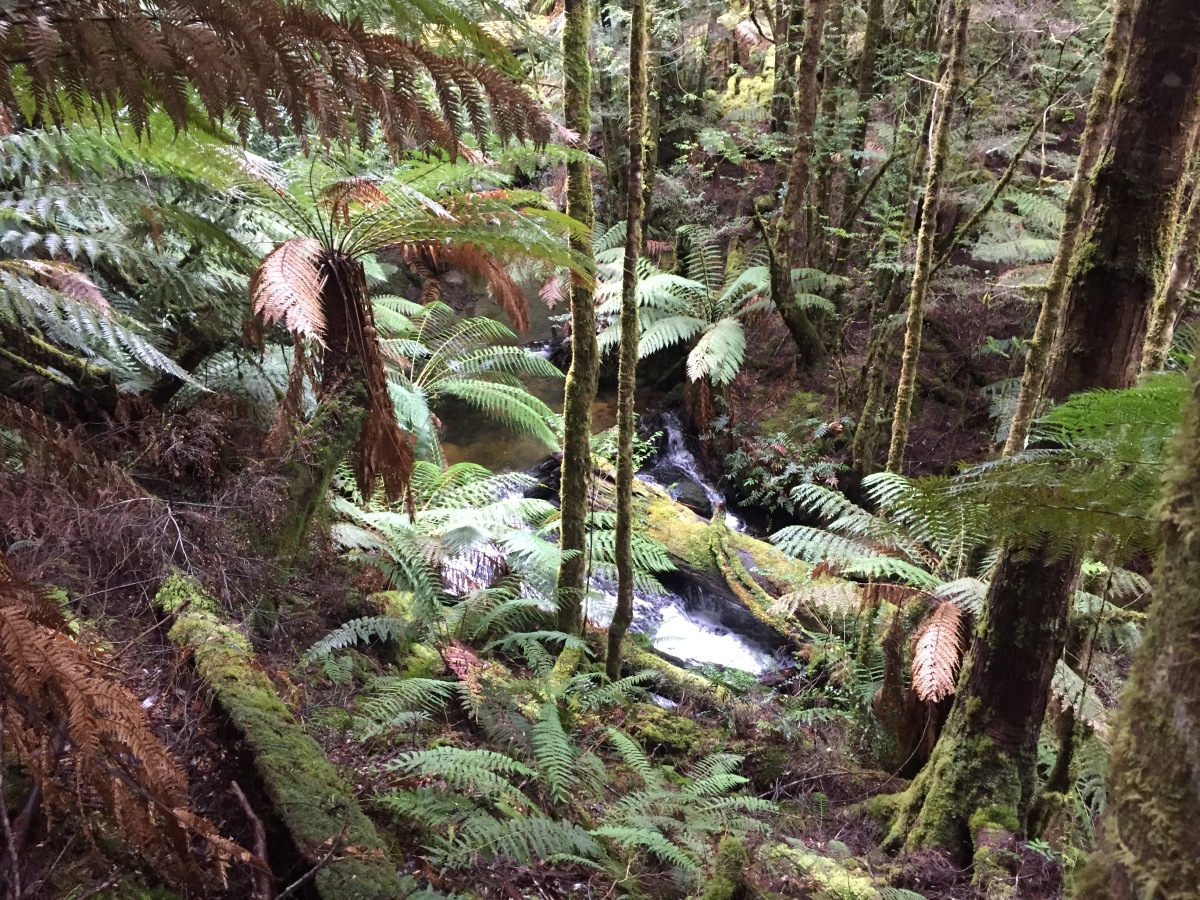 Lower Julia Falls