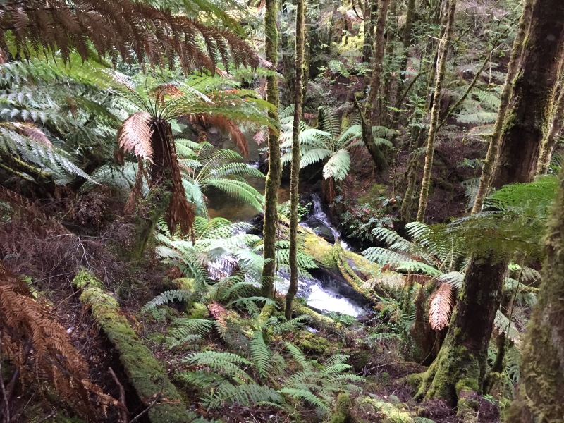 Lower Julia Falls