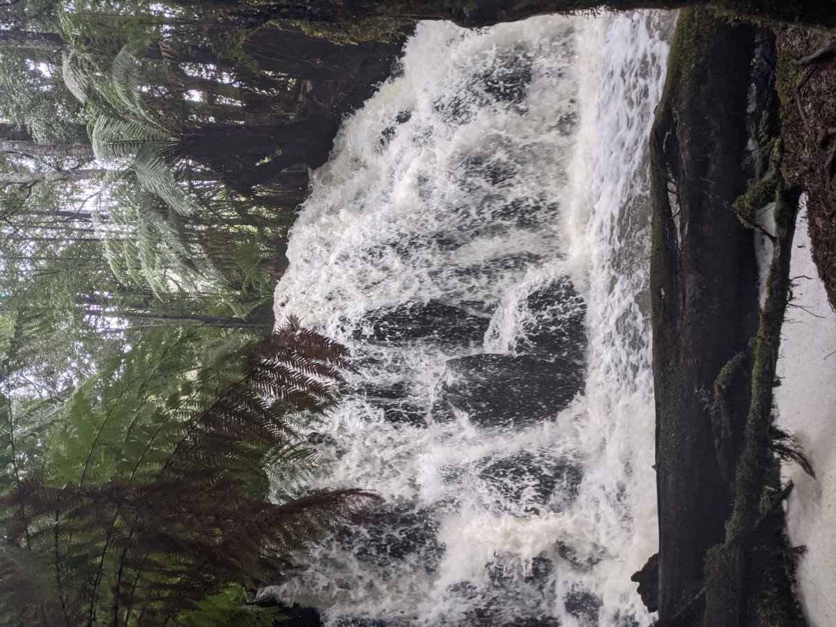 Waterfalls timeline for Emma Thomas