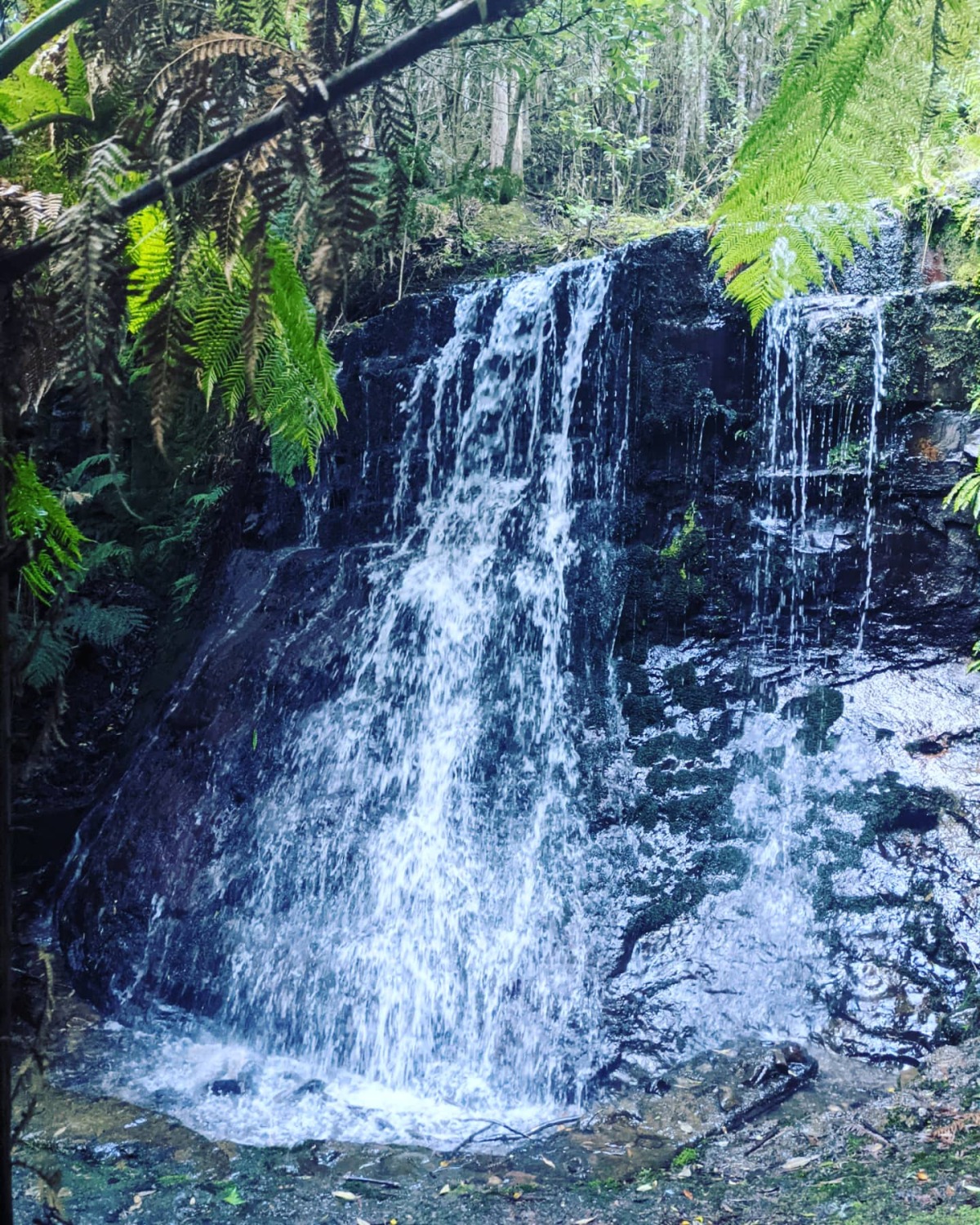 Waterfalls timeline for Emma Thomas