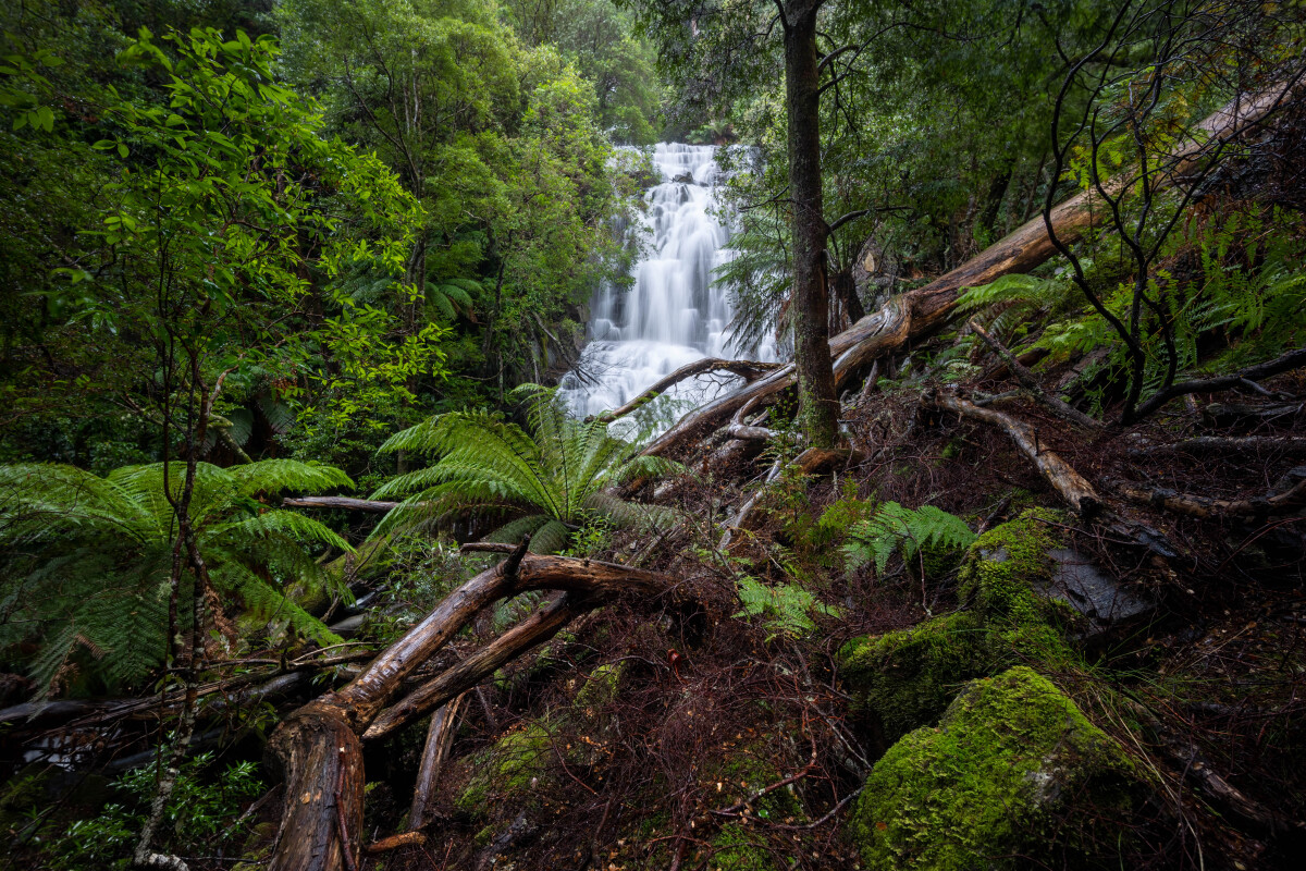 List of Waterfalls in Tasmania