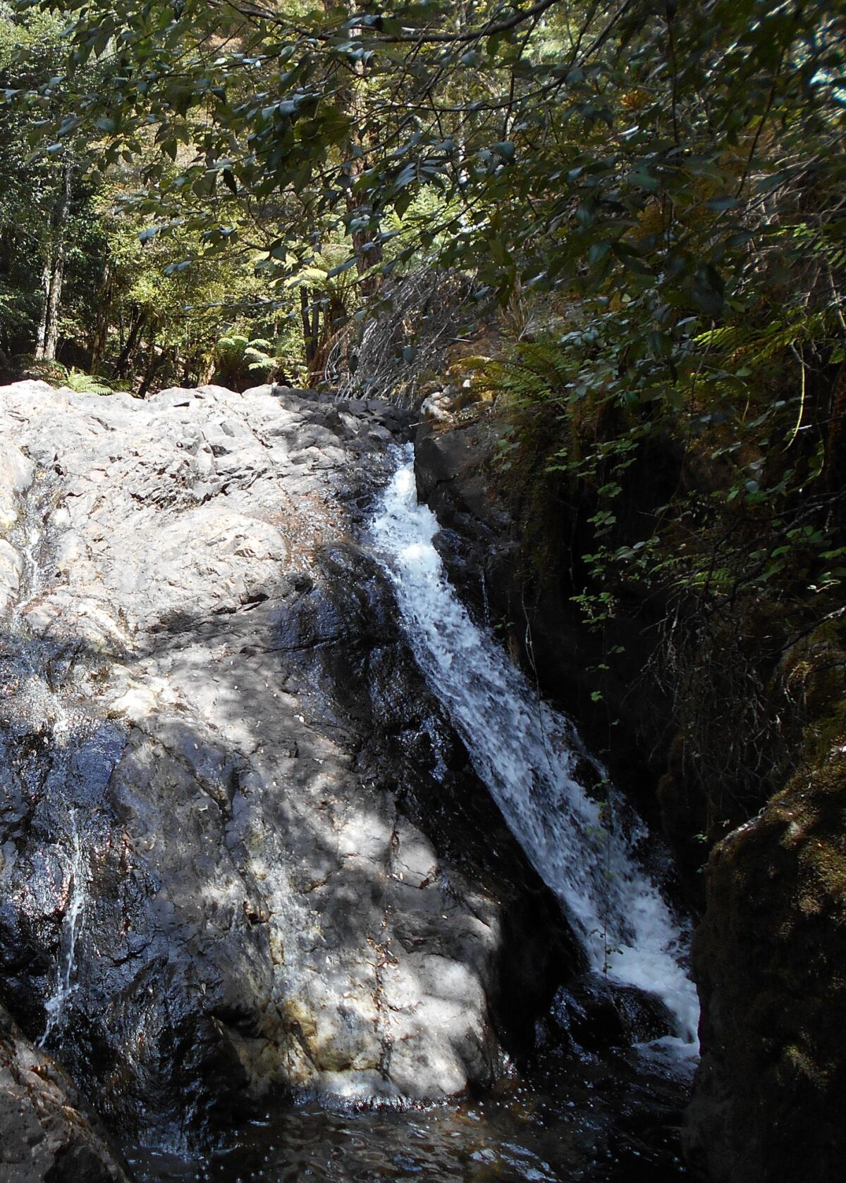 Waterfalls timeline for Peter Dohnt