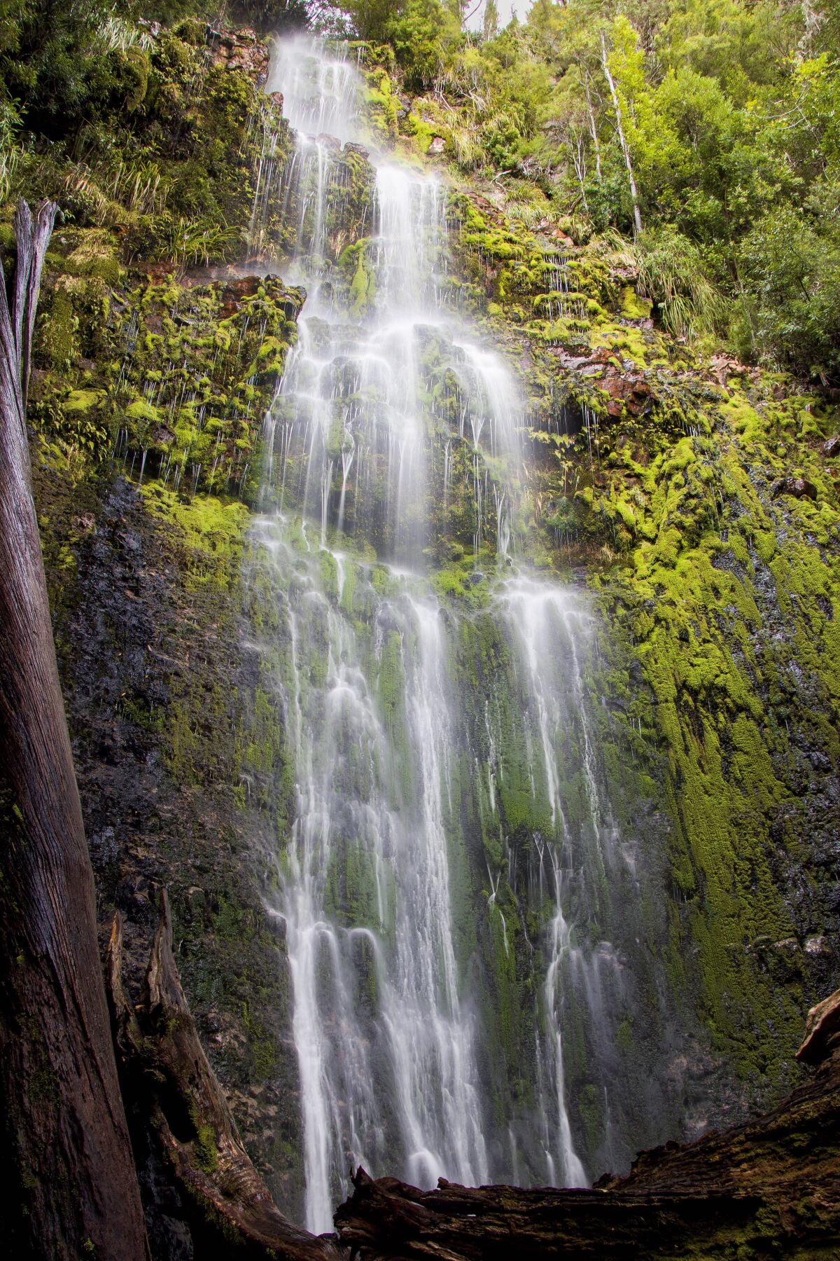 Cathedral Falls