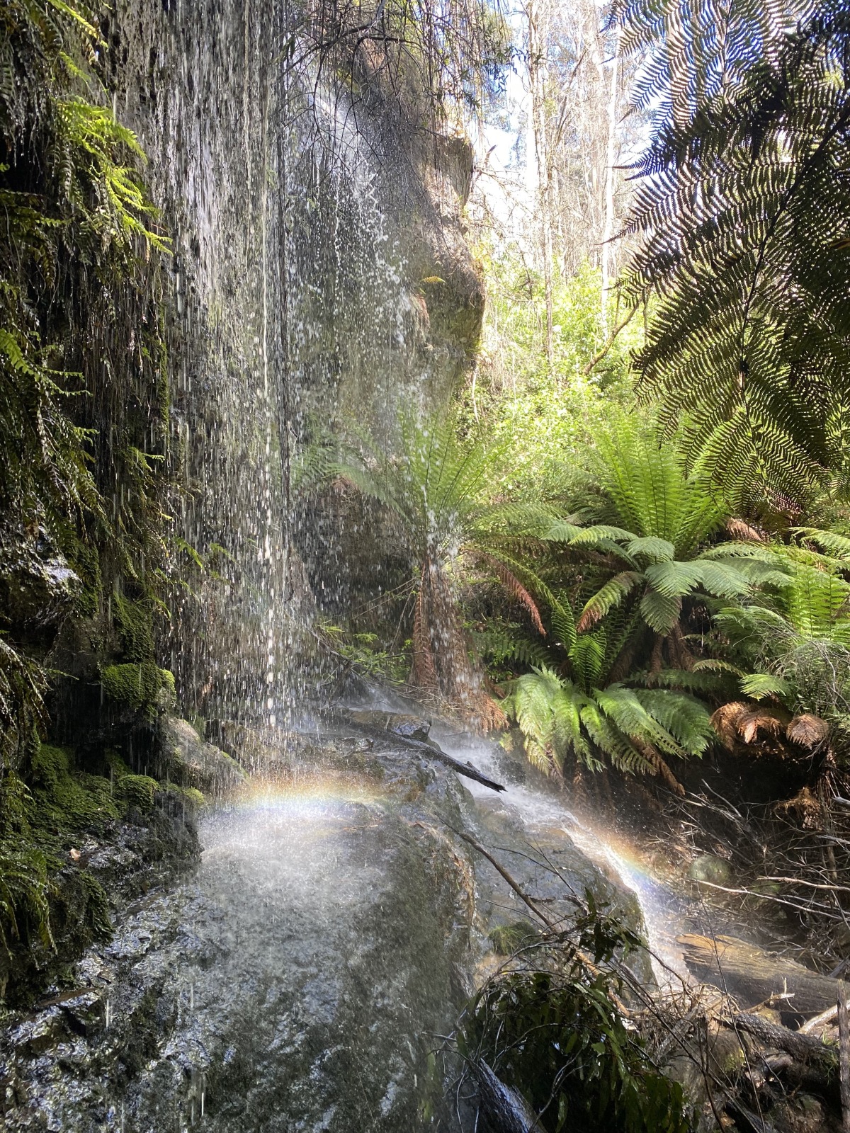 Wallaby Falls