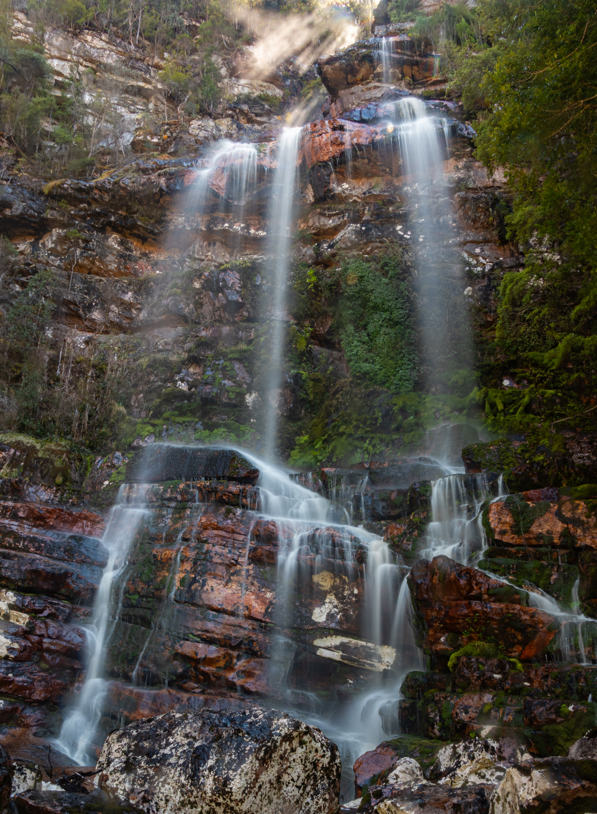 Whirlpool Falls
