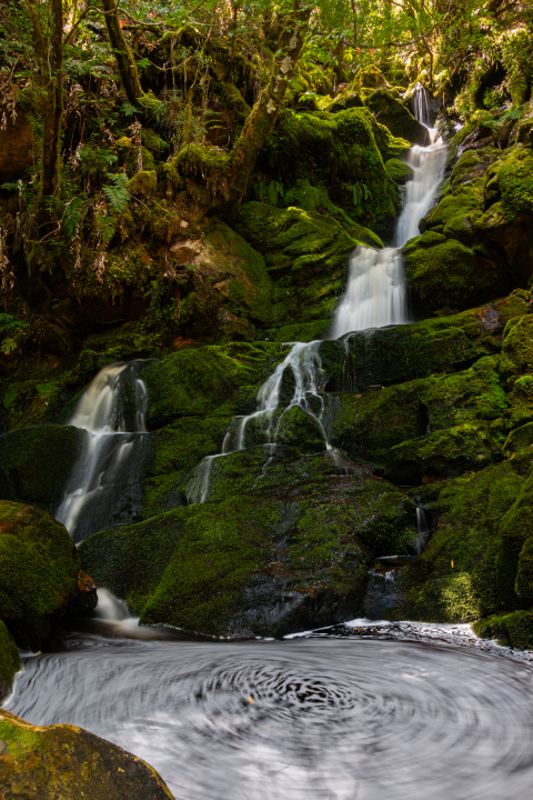 Whirlpool Falls