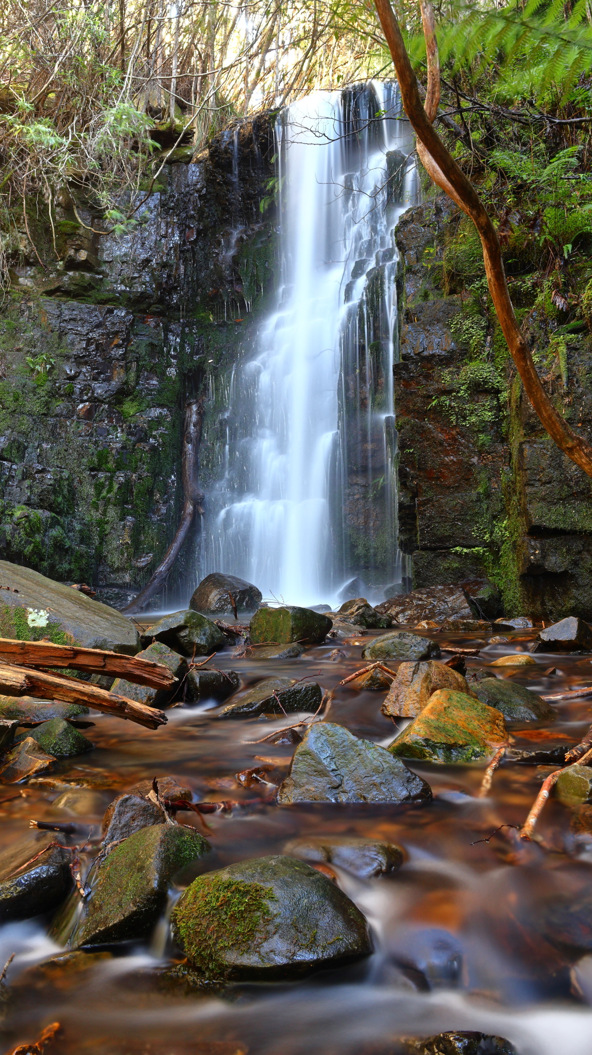 Waterfalls timeline for Simon Warn